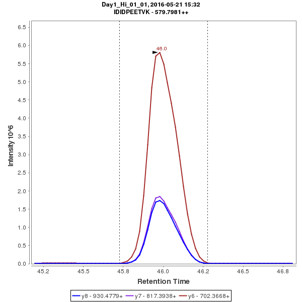 RAD23B, CPTAC-1458 - CPTAC Assay Portal | Office of Cancer Clinical ...