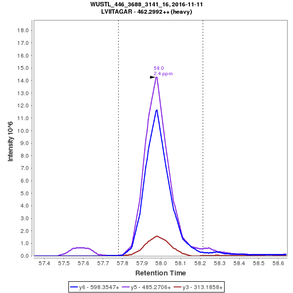 LDHA, CPTAC-91 - CPTAC Assay Portal | Office of Cancer Clinical ...